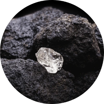 Our Process – Bachhu Brilliance